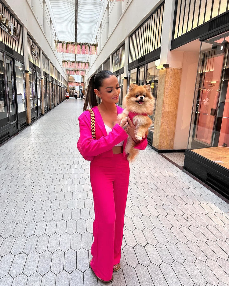 13 Matching Outfits with Dog Looks to Try in 2025 – CreativeBooster