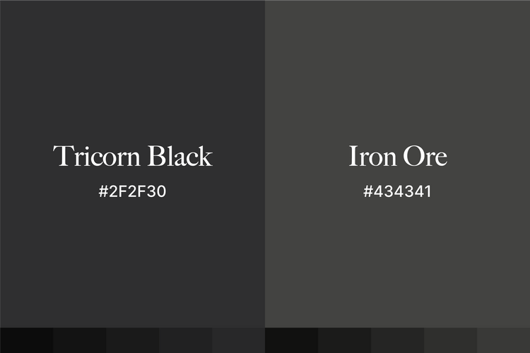 Tricorn Black vs Iron Ore: Differences Between Colors – CreativeBooster