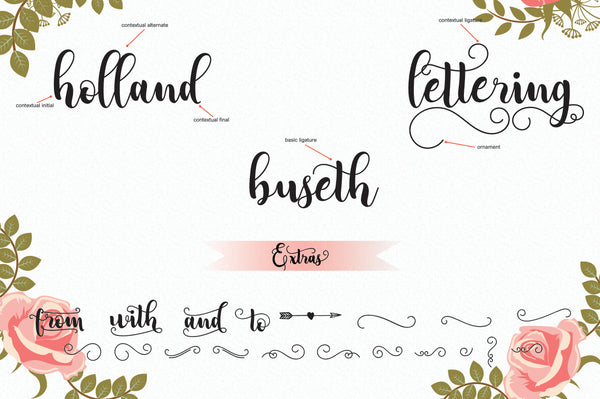 Free Adreena Script – CreativeBooster