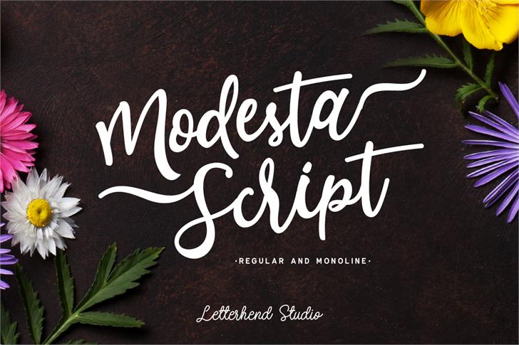 Free Modesta Script Font – CreativeBooster