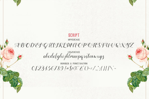 Mightype Free Handlettered Script Font By AF Studio – CreativeBooster