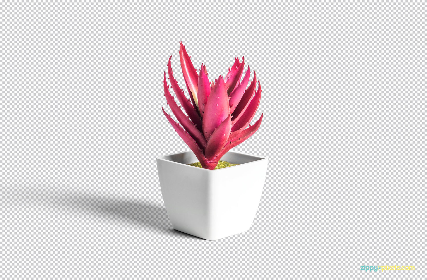 Free Plant Pot Mockup – CreativeBooster